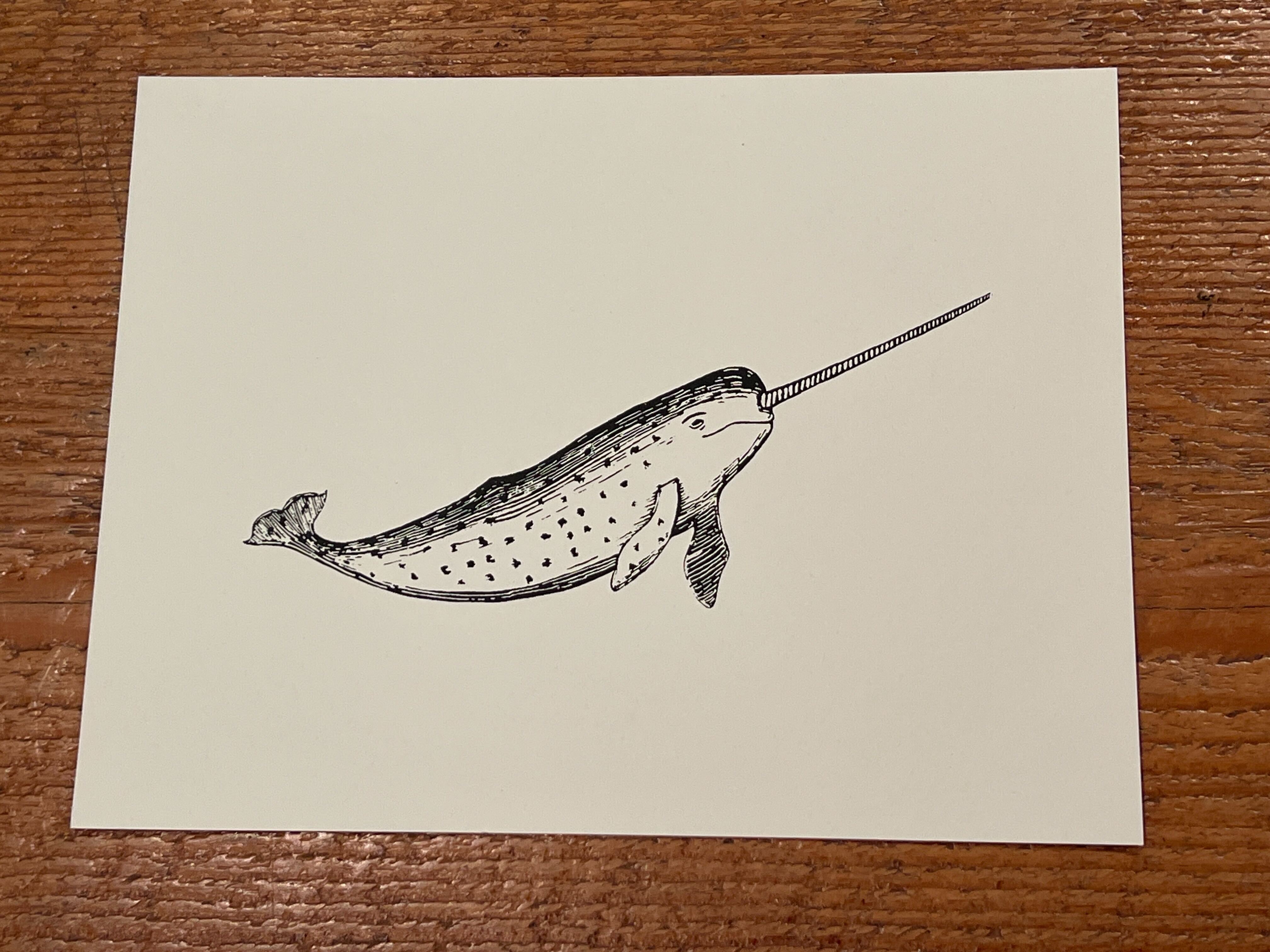 Narwhal - Small Paper Print – Printshop Northwest