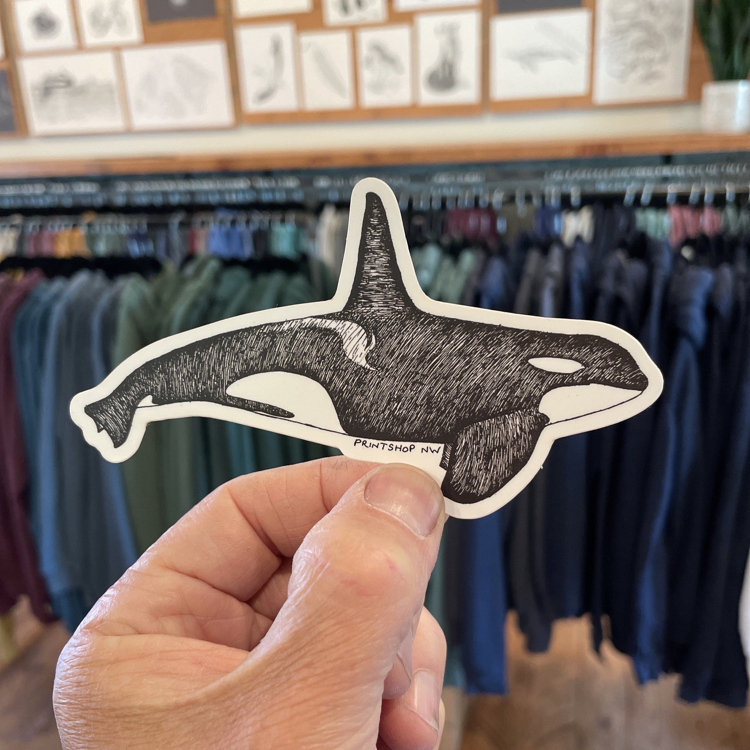 Orca Whale - Sticker – Printshop Northwest