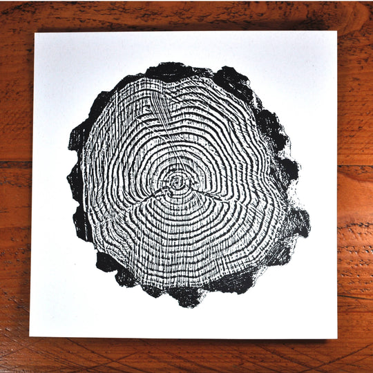 Tree Rings - Medium Paper Print – Printshop Northwest